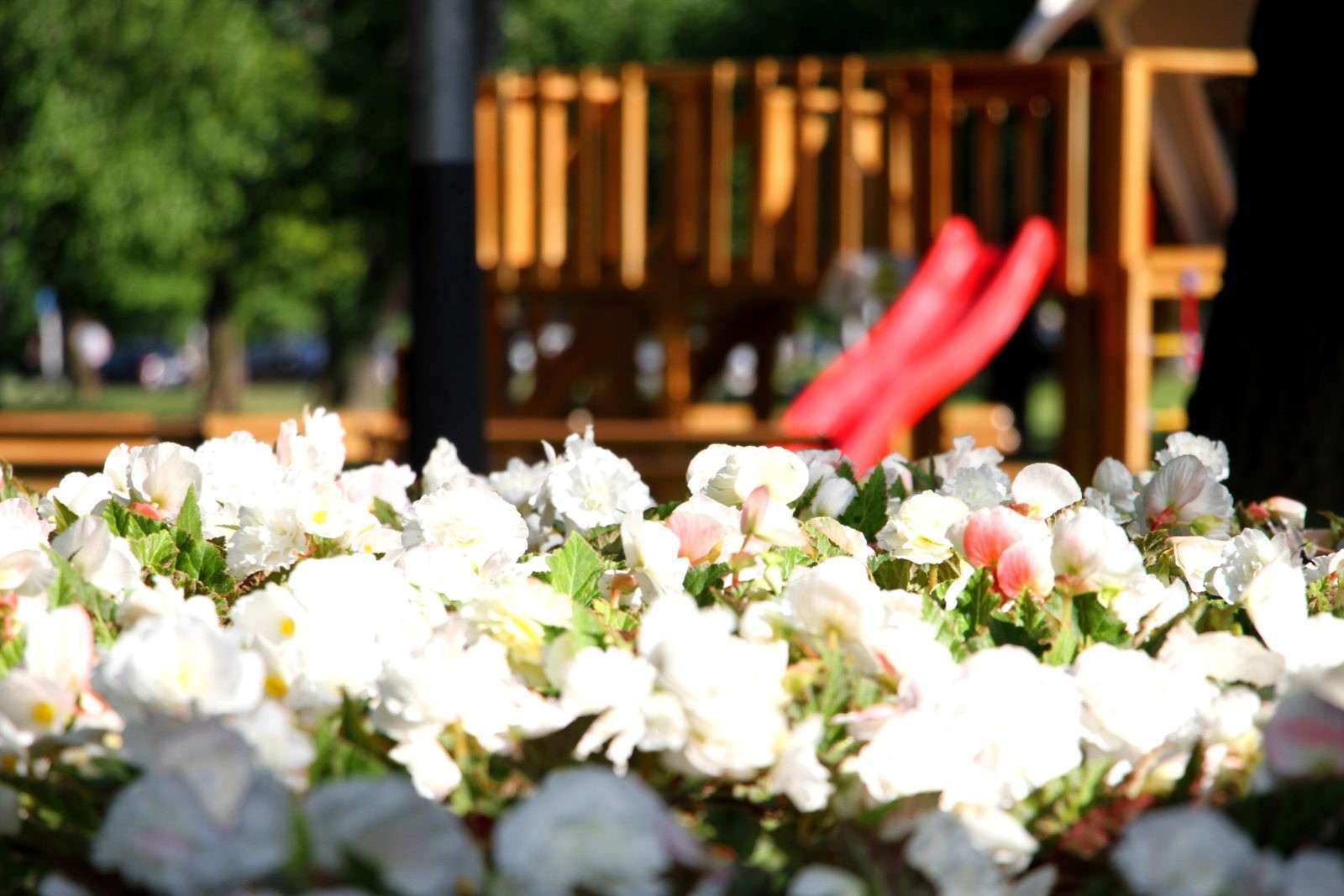 Photo Gallery: Floraart Festival and 250 000 Flowers at Bundek Lake ...